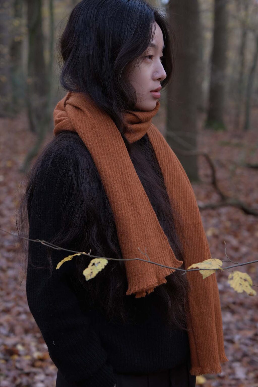 Classic and Plain Cashmere Scarves in Solid Colours • Oats & Rice